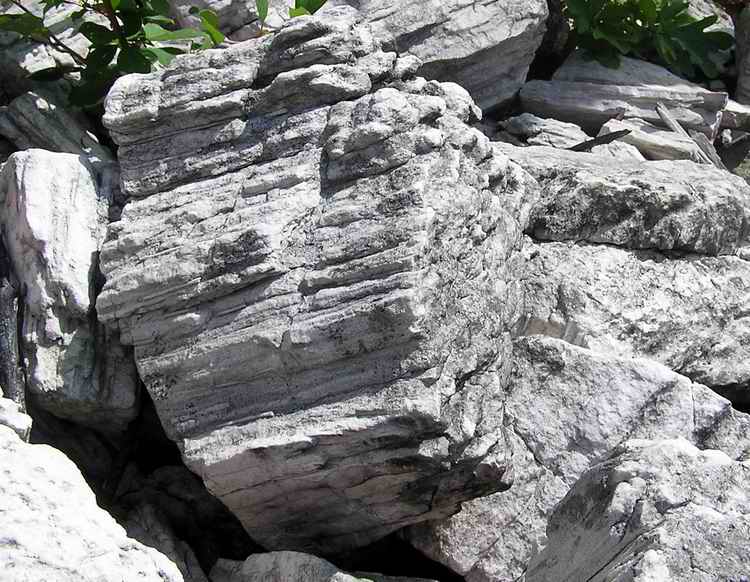 Skolithos Ichnofossils – Hiker's Notebook