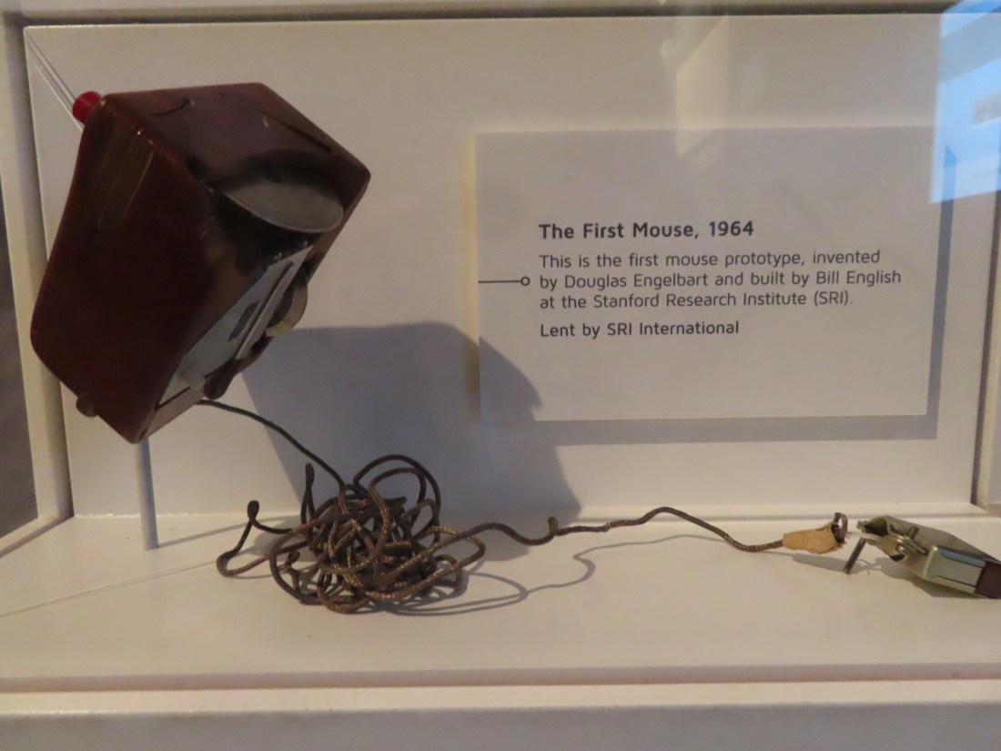 White-Footed Mouse – Hiker's Notebook